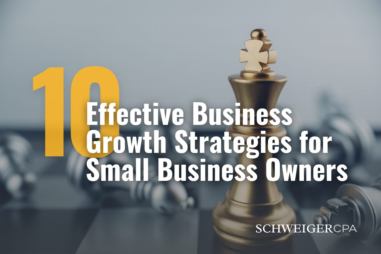 10 Effective Business Growth Strategies for Small Business Owners ...